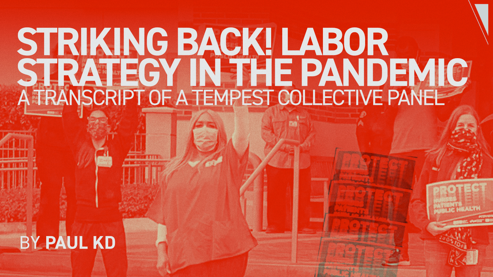 Striking Back Labor Strategy In The Pandemic Tempest striking-back-labor-strategy-in-the-pandemic-tempest